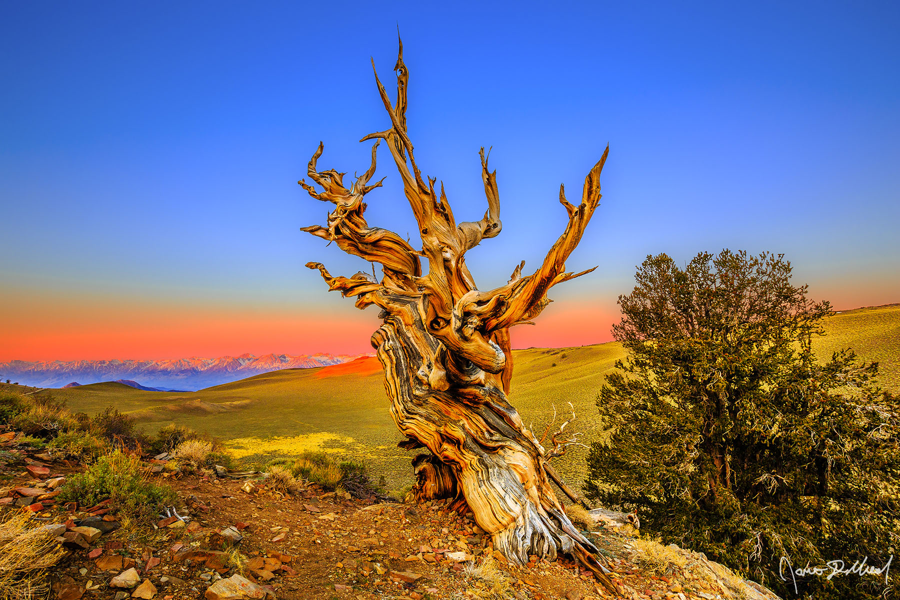 Galleries | James Mead Photography Fine Art Prints | Nature Photography
